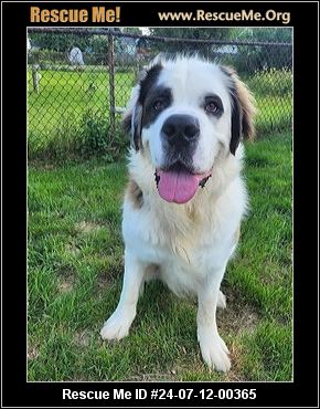 - New York Dog Rescue - ADOPTIONS - Rescue Me!