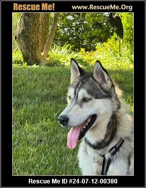 - Virginia Dog Rescue - ADOPTIONS - Rescue Me!