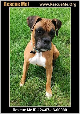 - Iowa Dog Rescue - ADOPTIONS - Rescue Me!