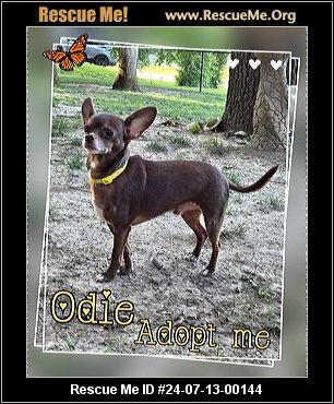 - Oklahoma Dog Rescue - ADOPTIONS - Rescue Me!