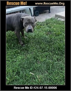 - Nebraska Dog Rescue - ADOPTIONS - Rescue Me!