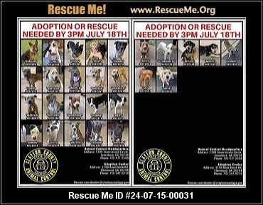 - North Carolina Dog Rescue - ADOPTIONS - Rescue Me!