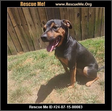 - Virginia Mutt Rescue - ADOPTIONS - Rescue Me!