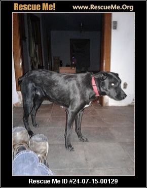 - Nebraska Dog Rescue - ADOPTIONS - Rescue Me!