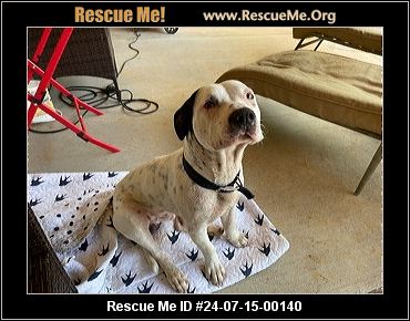- South Carolina Dog Rescue - ADOPTIONS - Rescue Me!