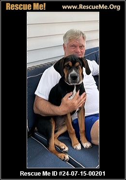 - New York Dog Rescue - ADOPTIONS - Rescue Me!