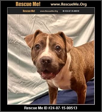 - Georgia Dog Rescue - ADOPTIONS - Rescue Me!