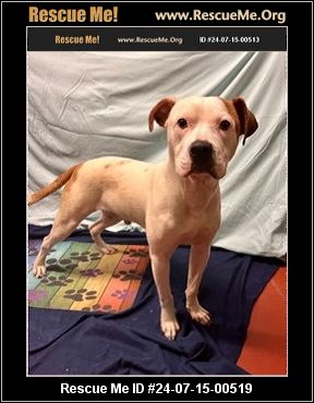 - Georgia Dog Rescue - ADOPTIONS - Rescue Me!