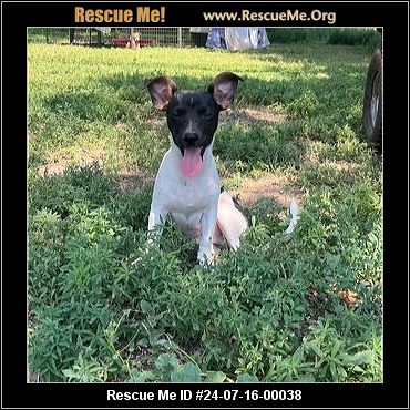 - Oklahoma Dog Rescue - ADOPTIONS - Rescue Me!