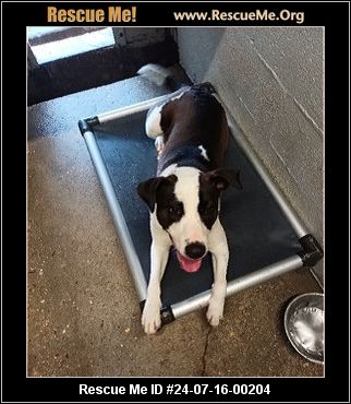 - Mississippi Dog Rescue - ADOPTIONS - Rescue Me!