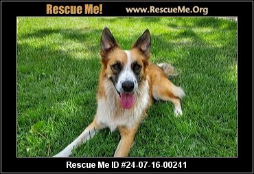 - Oregon Dog Rescue - ADOPTIONS - Rescue Me!