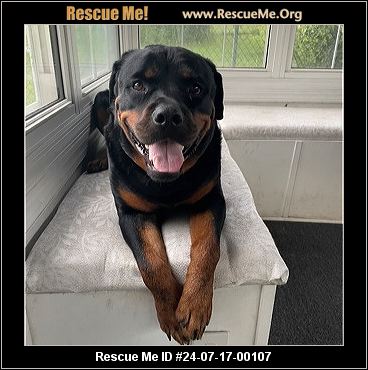 - Delaware Dog Rescue - ADOPTIONS - Rescue Me!