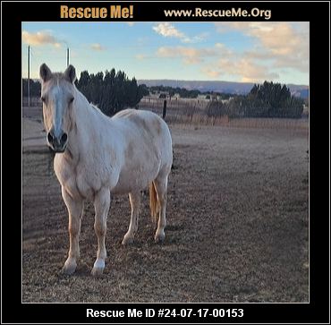 - Colorado Horse Rescue - ADOPTIONS - Rescue Me!