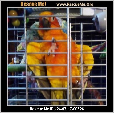 - Pennsylvania Pet Bird Rescue - ADOPTIONS - Rescue Me!