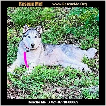 - Delaware Dog Rescue - ADOPTIONS - Rescue Me!