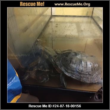 - New Jersey Reptile/Amphibian Rescue - ADOPTIONS - Rescue Me!