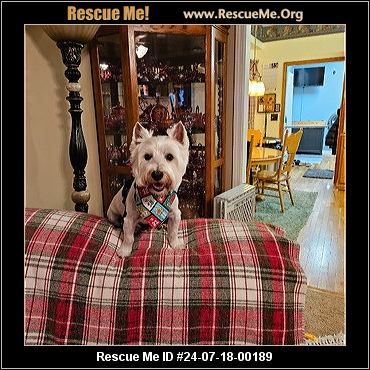 - West Virginia Dog Rescue - ADOPTIONS - Rescue Me!