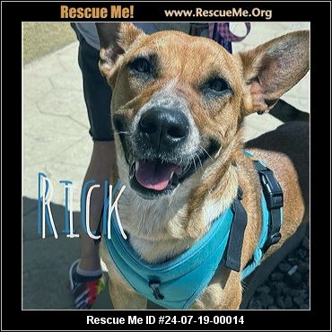 - Nevada Dog Rescue - ADOPTIONS - Rescue Me!