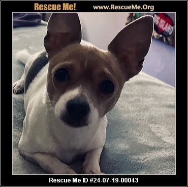 - Alaska Dog Rescue - ADOPTIONS - Rescue Me!