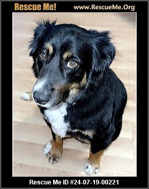 - Nebraska Dog Rescue - ADOPTIONS - Rescue Me!