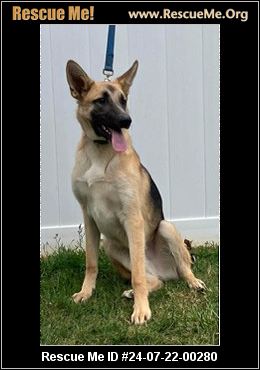 - New Jersey Dog Rescue - ADOPTIONS - Rescue Me!