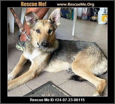 - New Jersey Dog Rescue - ADOPTIONS - Rescue Me!
