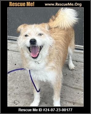 - Utah Dog Rescue - ADOPTIONS - Rescue Me!