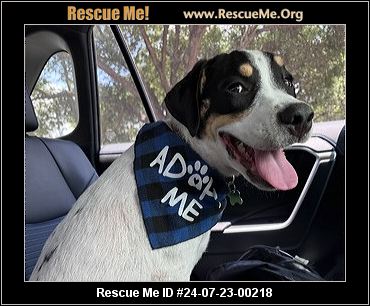 - Texas Mutt Rescue - ADOPTIONS - Rescue Me!