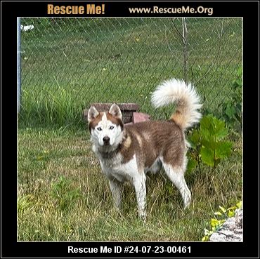 - West Virginia Dog Rescue - ADOPTIONS - Rescue Me!