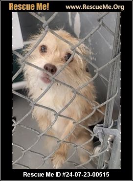 - Georgia Dog Rescue - ADOPTIONS - Rescue Me!