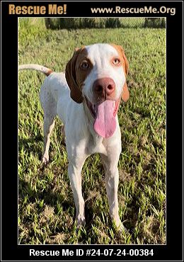 - Texas Mutt Rescue - ADOPTIONS - Rescue Me!