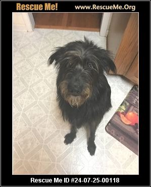 - New Jersey Dog Rescue - ADOPTIONS - Rescue Me!