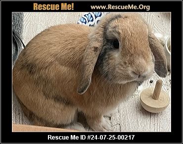 - California Rabbit Rescue - ADOPTIONS - Rescue Me!