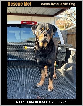 - Texas Rottweiler Rescue - ADOPTIONS - Rescue Me!