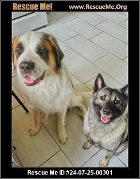 - New York Dog Rescue - ADOPTIONS - Rescue Me!