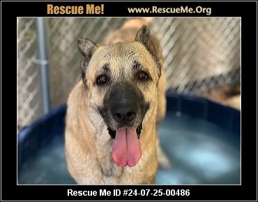 - North Carolina Dog Rescue - ADOPTIONS - Rescue Me!