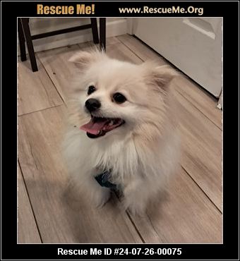 - New Jersey Dog Rescue - ADOPTIONS - Rescue Me!