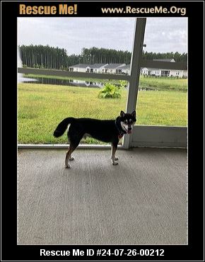 - South Carolina Dog Rescue - ADOPTIONS - Rescue Me!