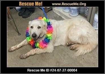 - Texas Mutt Rescue - ADOPTIONS - Rescue Me!