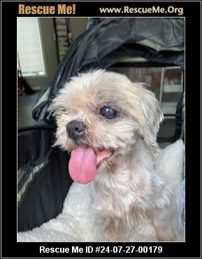 - Delaware Dog Rescue - ADOPTIONS - Rescue Me!