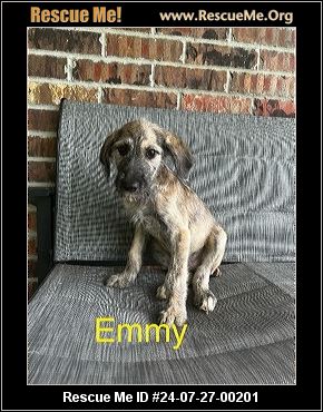 - New Jersey Dog Rescue - ADOPTIONS - Rescue Me!