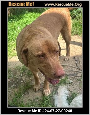 - Nebraska Dog Rescue - ADOPTIONS - Rescue Me!