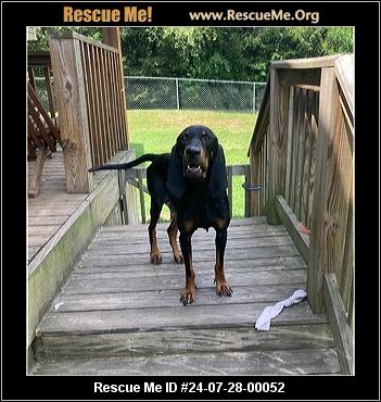 - West Virginia Dog Rescue - ADOPTIONS - Rescue Me!