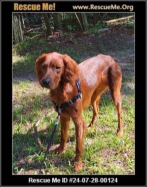 - North Carolina Dog Rescue - ADOPTIONS - Rescue Me!