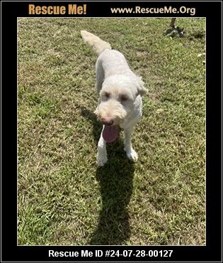 - Alabama Dog Rescue - ADOPTIONS - Rescue Me!