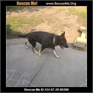 - Minnesota Dog Rescue - ADOPTIONS - Rescue Me!