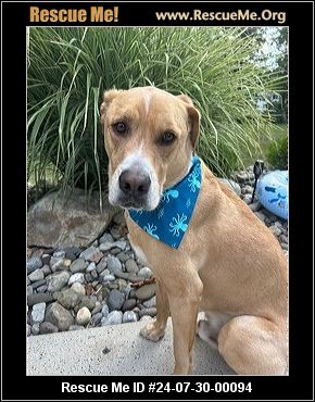 - Pennsylvania Dog Rescue - ADOPTIONS - Rescue Me!