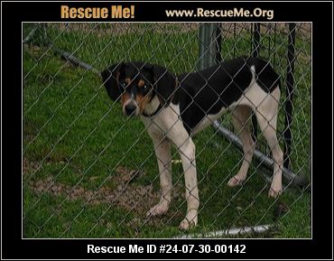- Tennessee Dog Rescue - ADOPTIONS - Rescue Me!