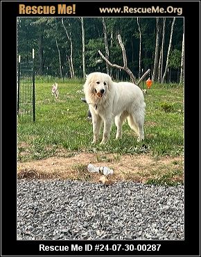 - West Virginia Dog Rescue - ADOPTIONS - Rescue Me!