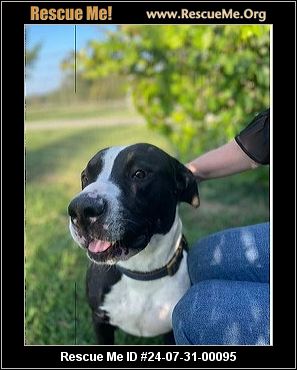 - New Jersey Dog Rescue - ADOPTIONS - Rescue Me!